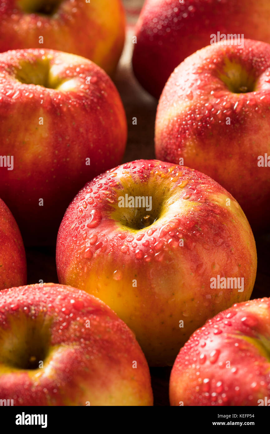 Raw Red Organic Sweet Tango Gala Apples Ready to Eat Stock Photo - Alamy