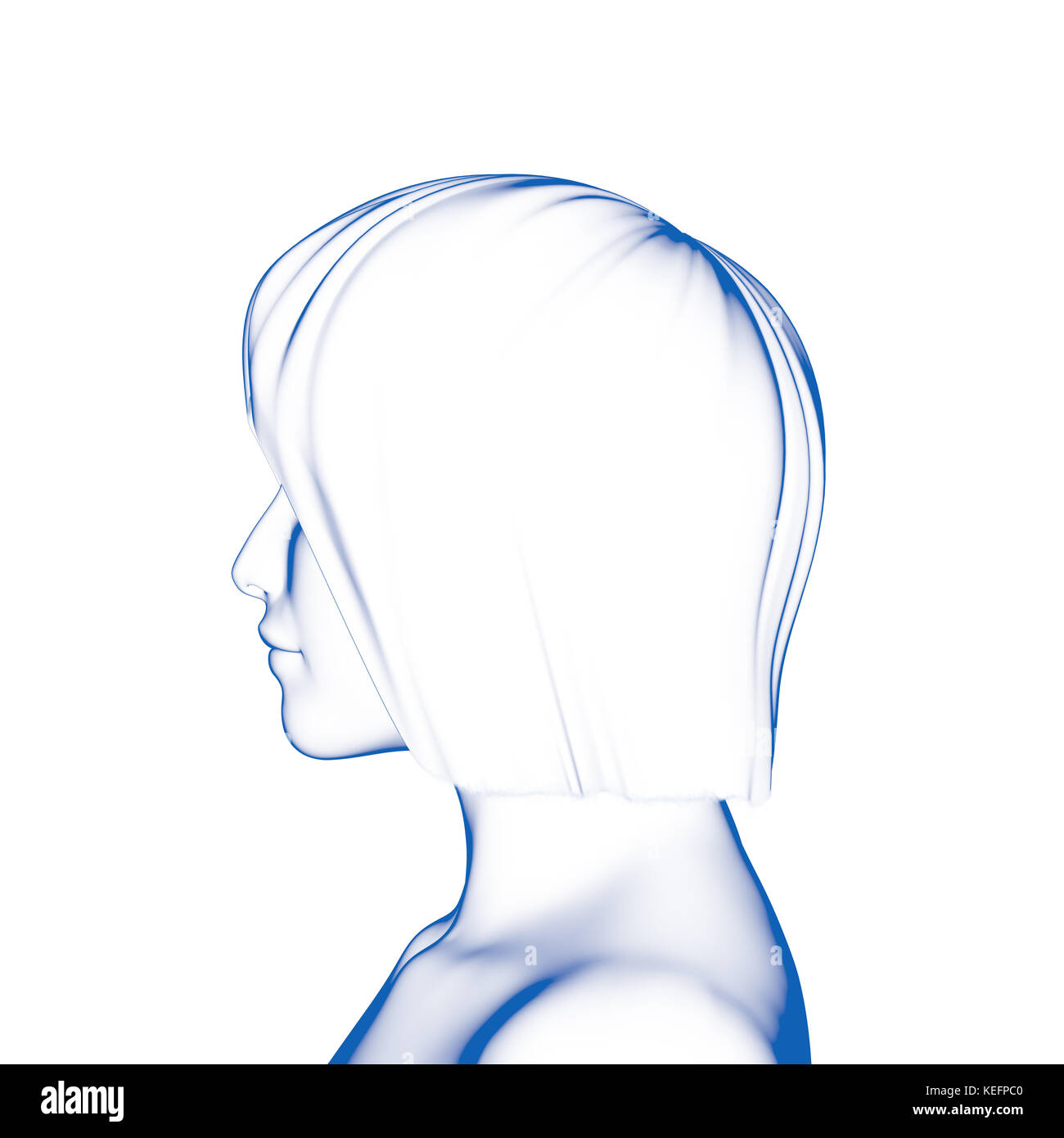 Female anatomy drawing hi-res stock photography and images - Alamy