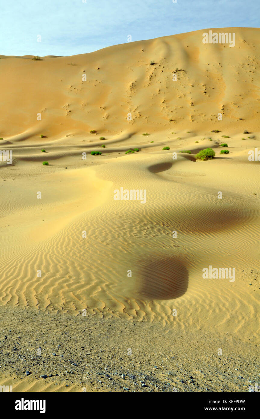 Wind-formed patterns in this collection of sand in the Arabian Desert ...