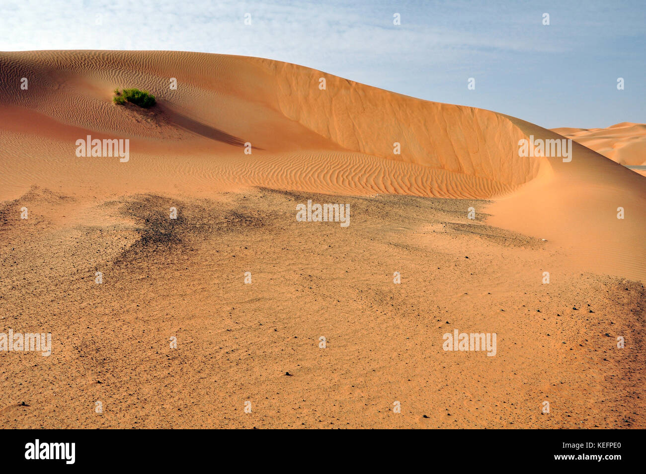 Wind-formed patterns in this collection of sand in the Arabian Desert ...