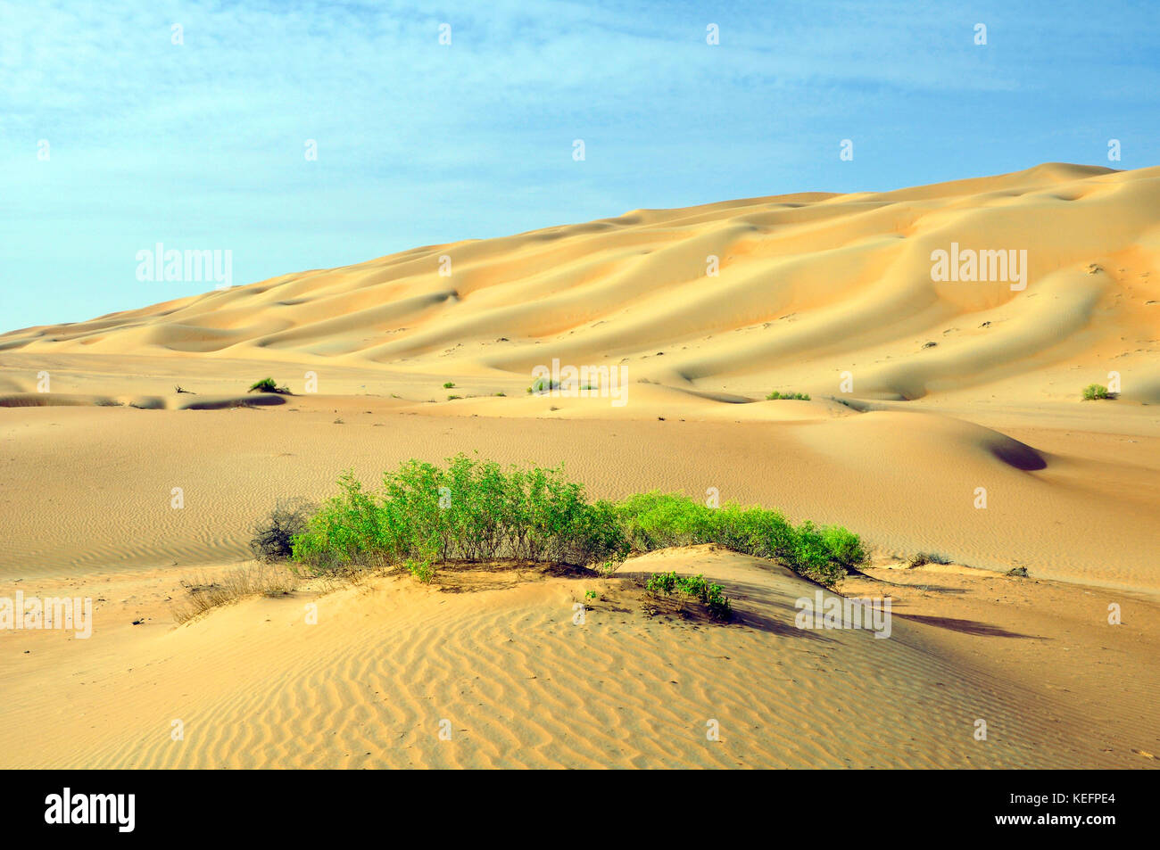 Wind-formed patterns in this collection of sand in the Arabian Desert ...