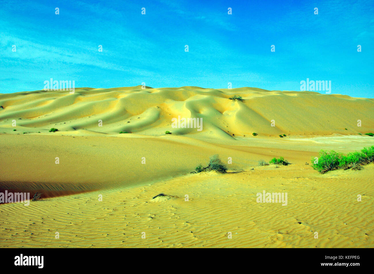 Wind-formed patterns in this collection of sand in the Arabian Desert ...