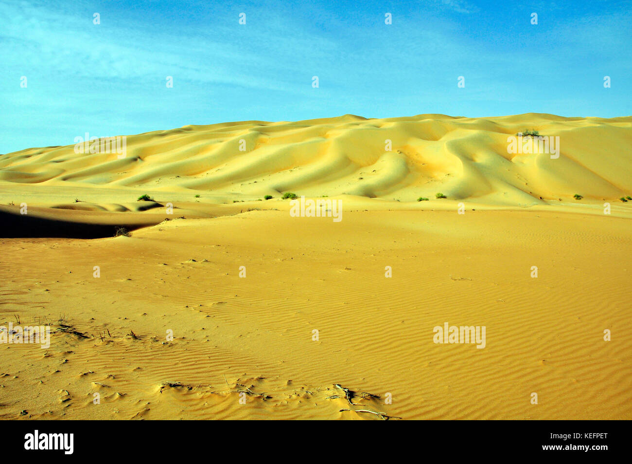 Wind-formed patterns in this collection of sand in the Arabian Desert ...