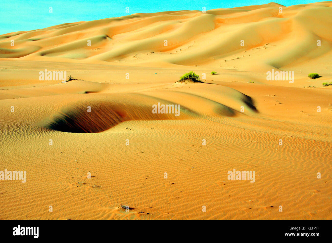 Wind-formed patterns in this collection of sand in the Arabian Desert ...