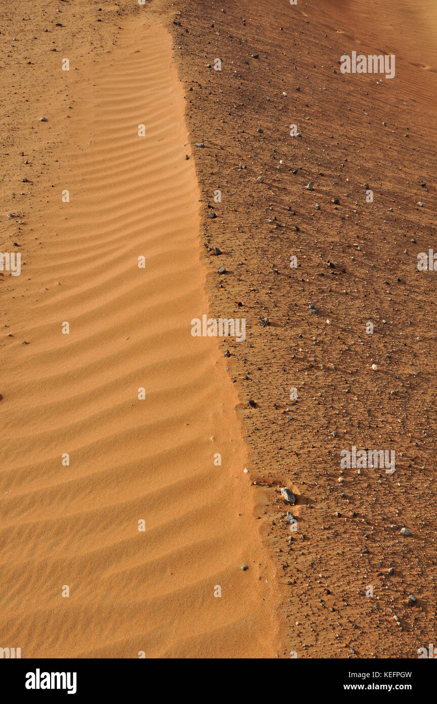 Wind-formed patterns in this collection of sand in the Arabian Desert ...