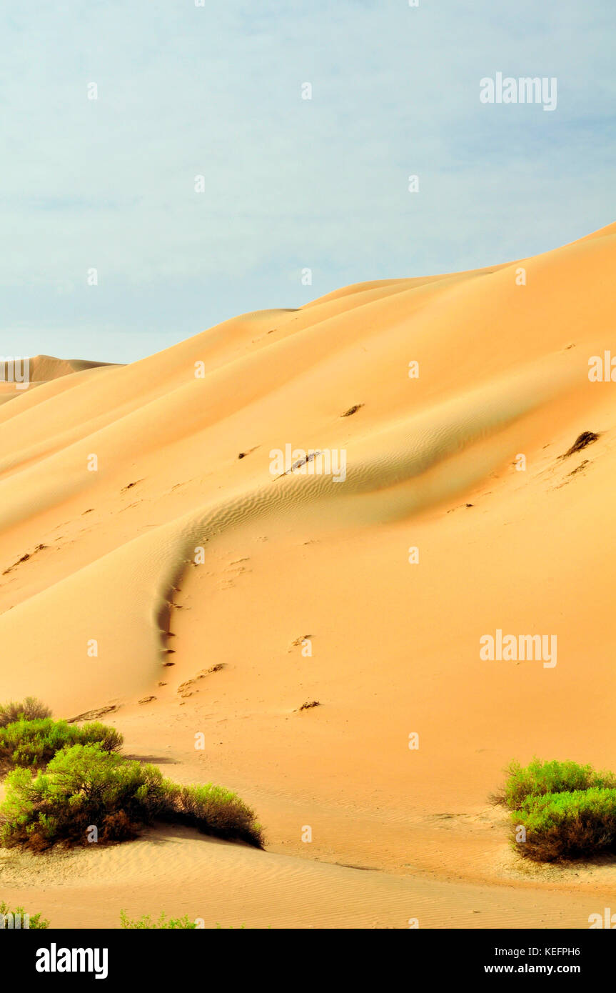 Wind-formed patterns in this collection of sand in the Arabian Desert ...