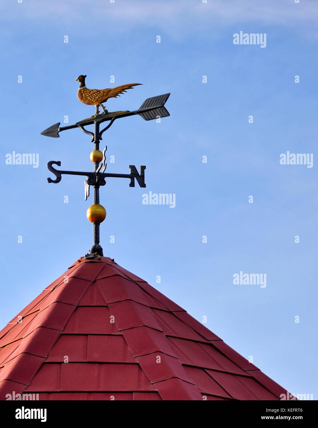 Pheasant topped wind vane on a red shingled roof Stock Photo - Alamy