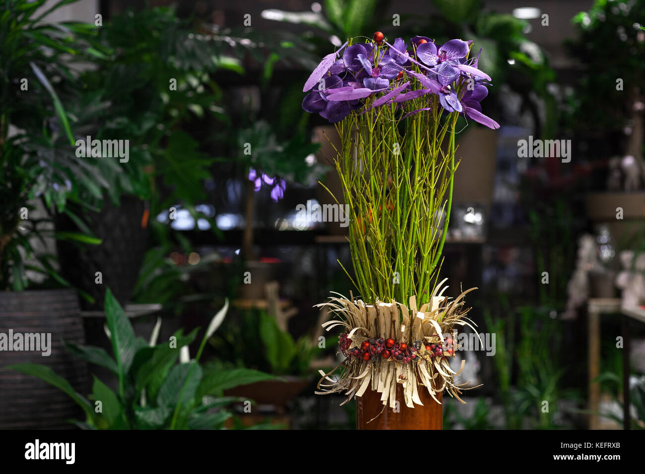 Long flower pot hi-res stock photography and images - Alamy