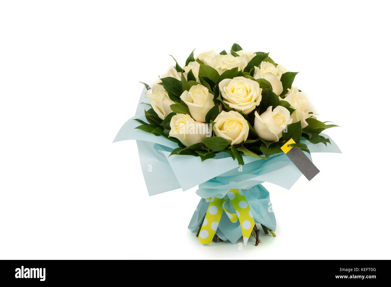 yellow roses in a paper bouquet tied ribbon on a white background ...