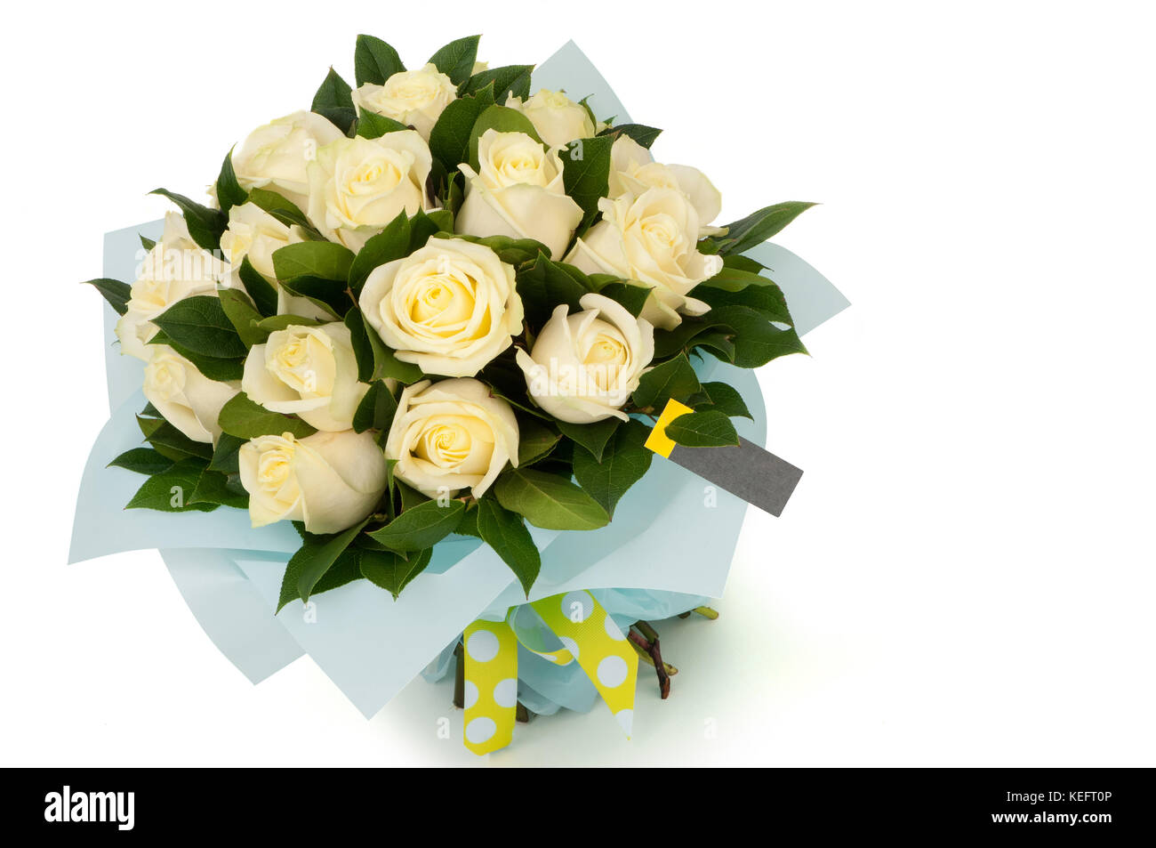yellow roses in a paper bouquet tied ribbon on a white background ...