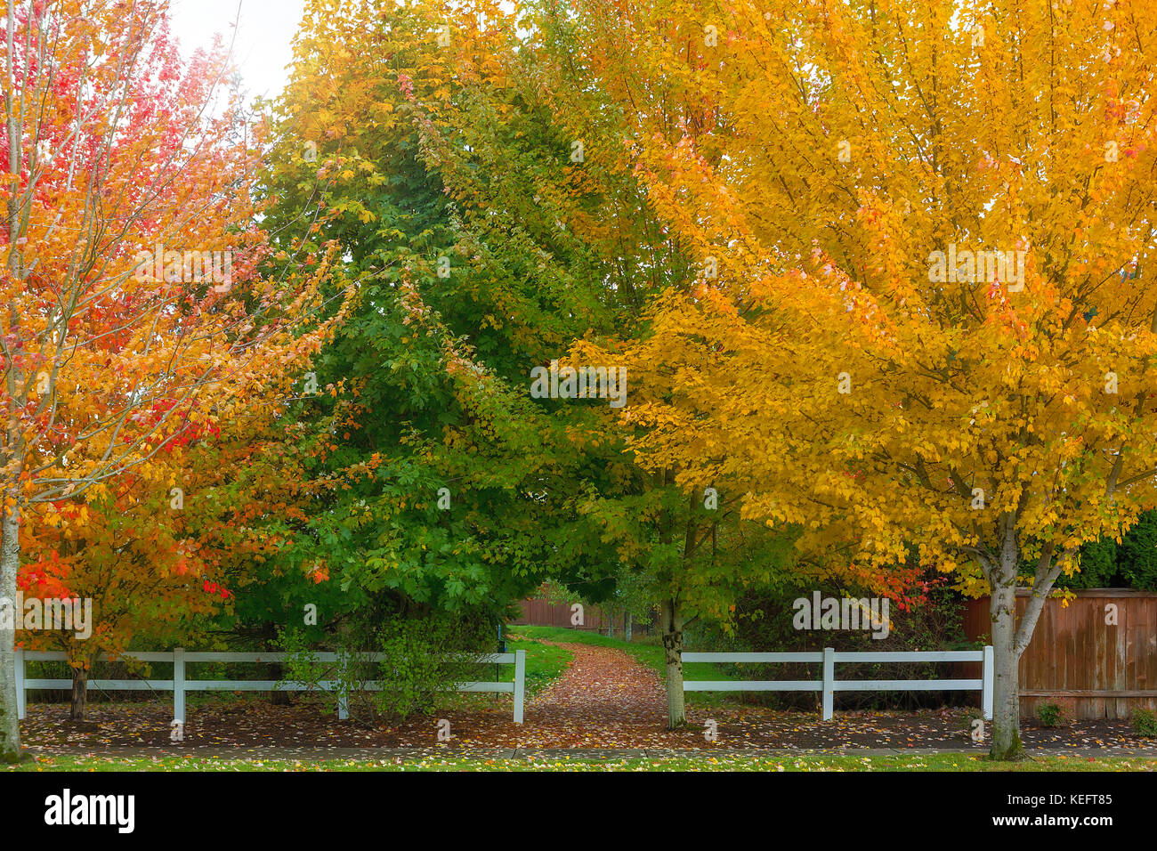 Fall foliage colors at park entrance in North American suburban ...