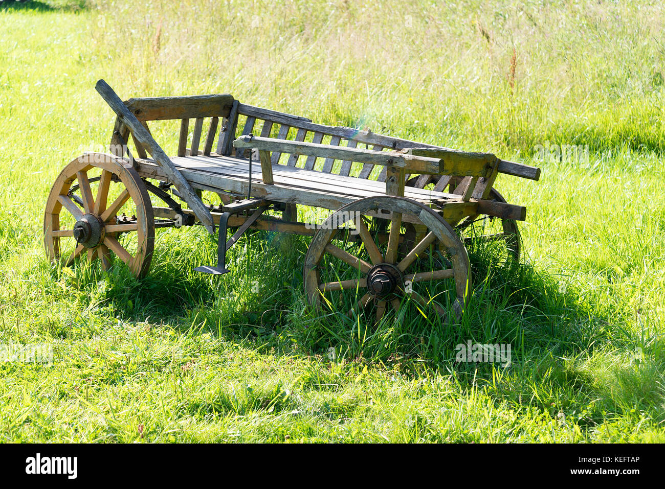 Empty old rural wooden wagon stands on green summer grass Stock Photo ...