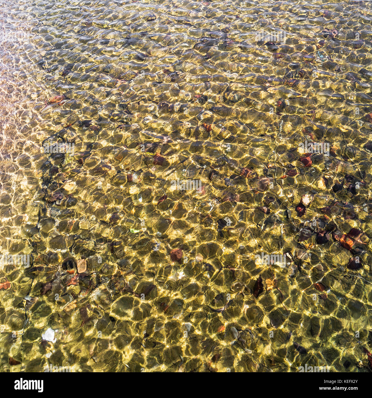 stones surface underwater in the clear water of a lake Stock Photo - Alamy