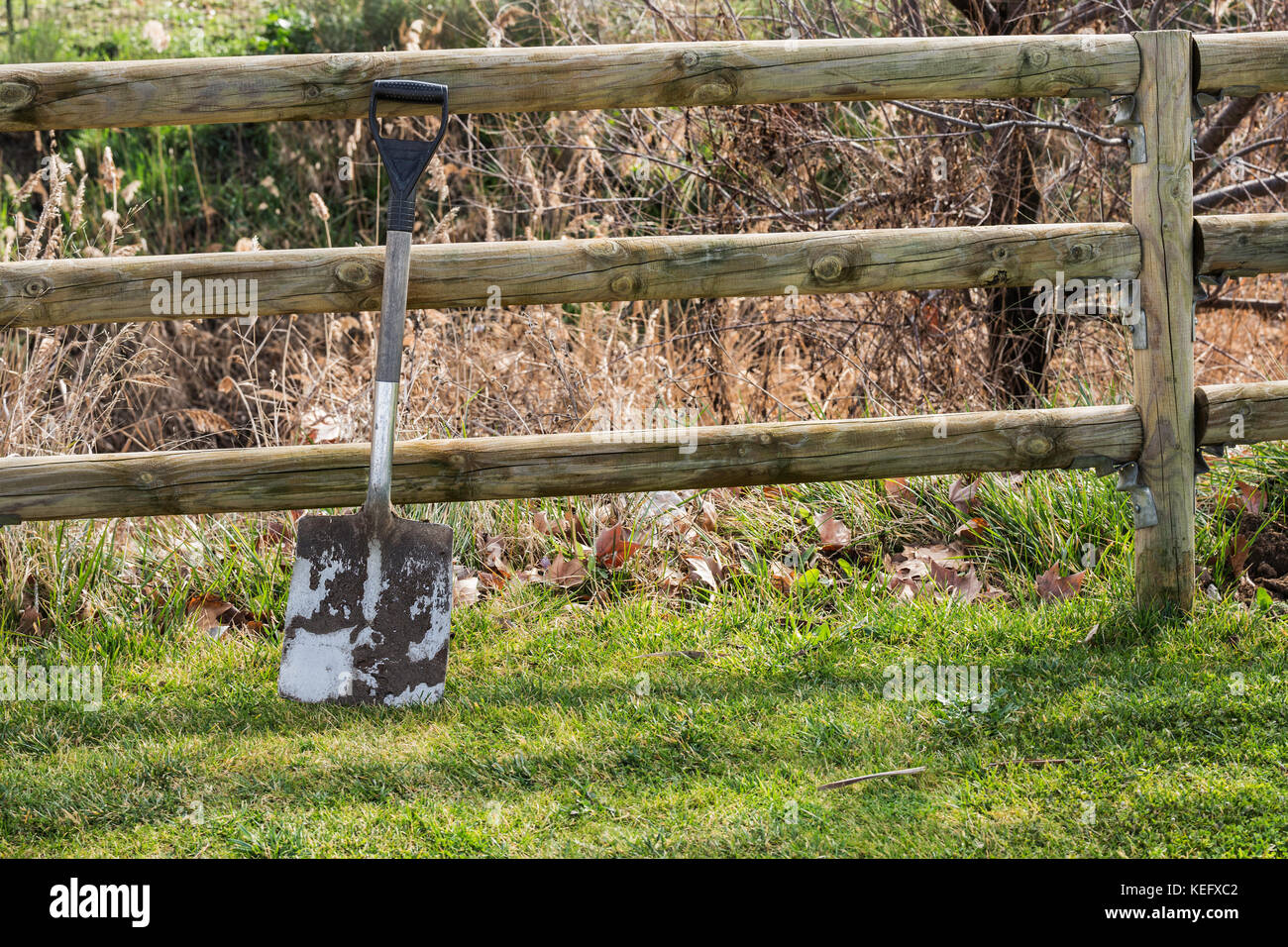 dirty spade on the wood fence and green grass.gardening tool Stock ...