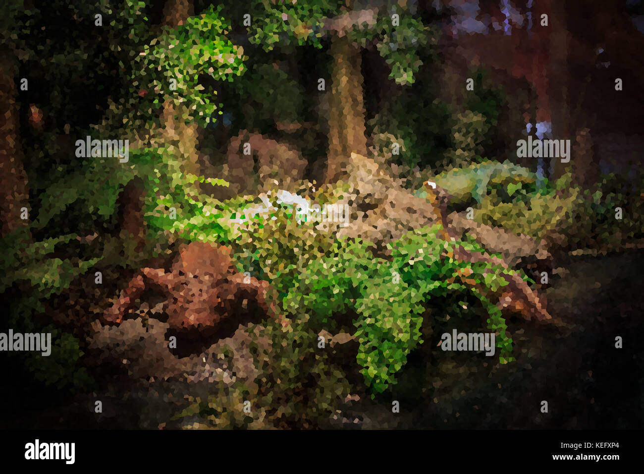 Illustration beautiful and colorful rain forest Stock Photo - Alamy