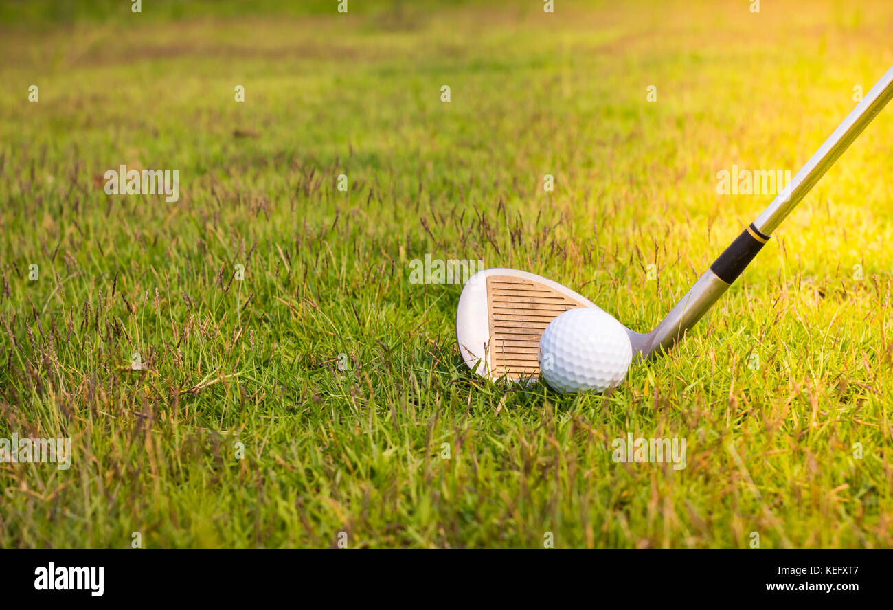 Golf club and ball in grass Stock Photo - Alamy