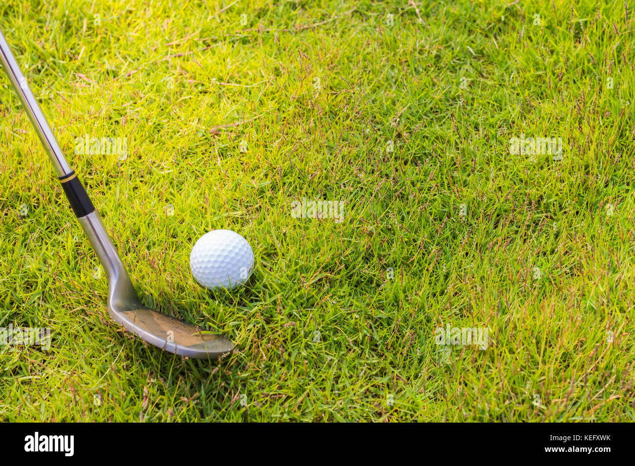 Golf club and ball in grass Stock Photo - Alamy
