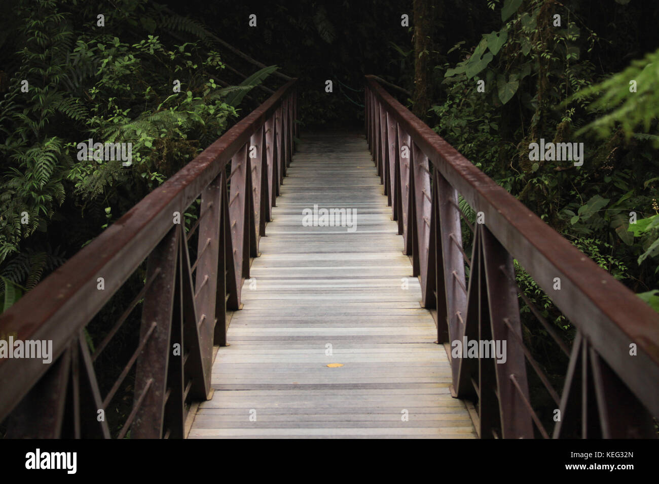 The infinity bridge pedestrian bridge hi-res stock photography and ...