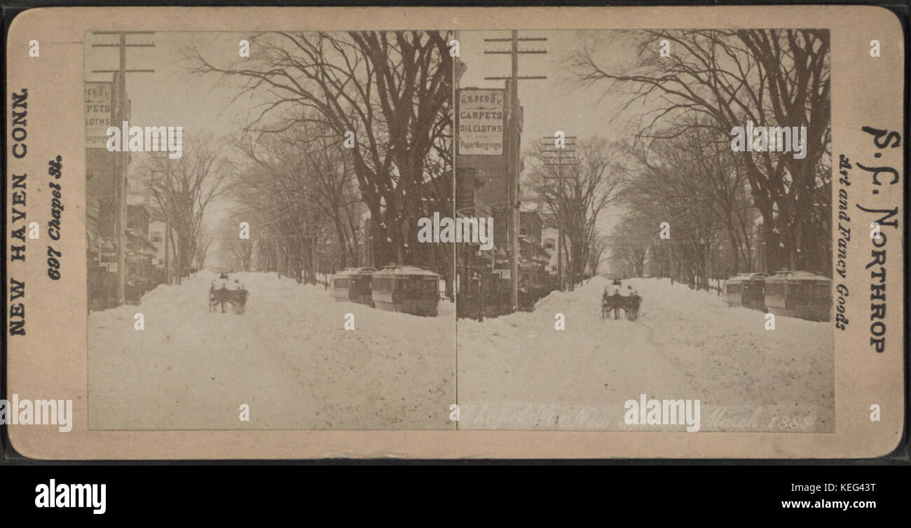 Chapel St., New Haven, March 1888, by S. C. Northrop Stock Photo - Alamy