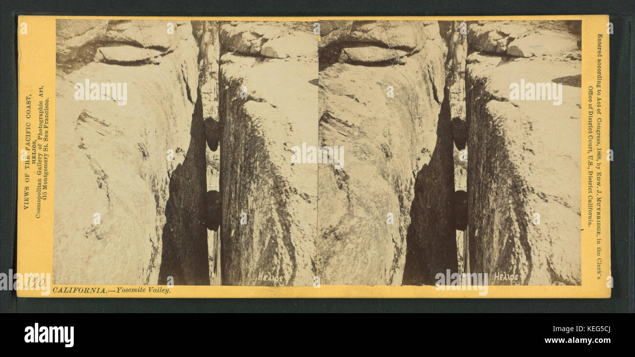 Eagle feet hi-res stock photography and images - Alamy