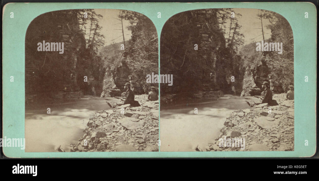 Enfield ravine looking down, Ithaca, N.Y, from Robert N. Dennis ...