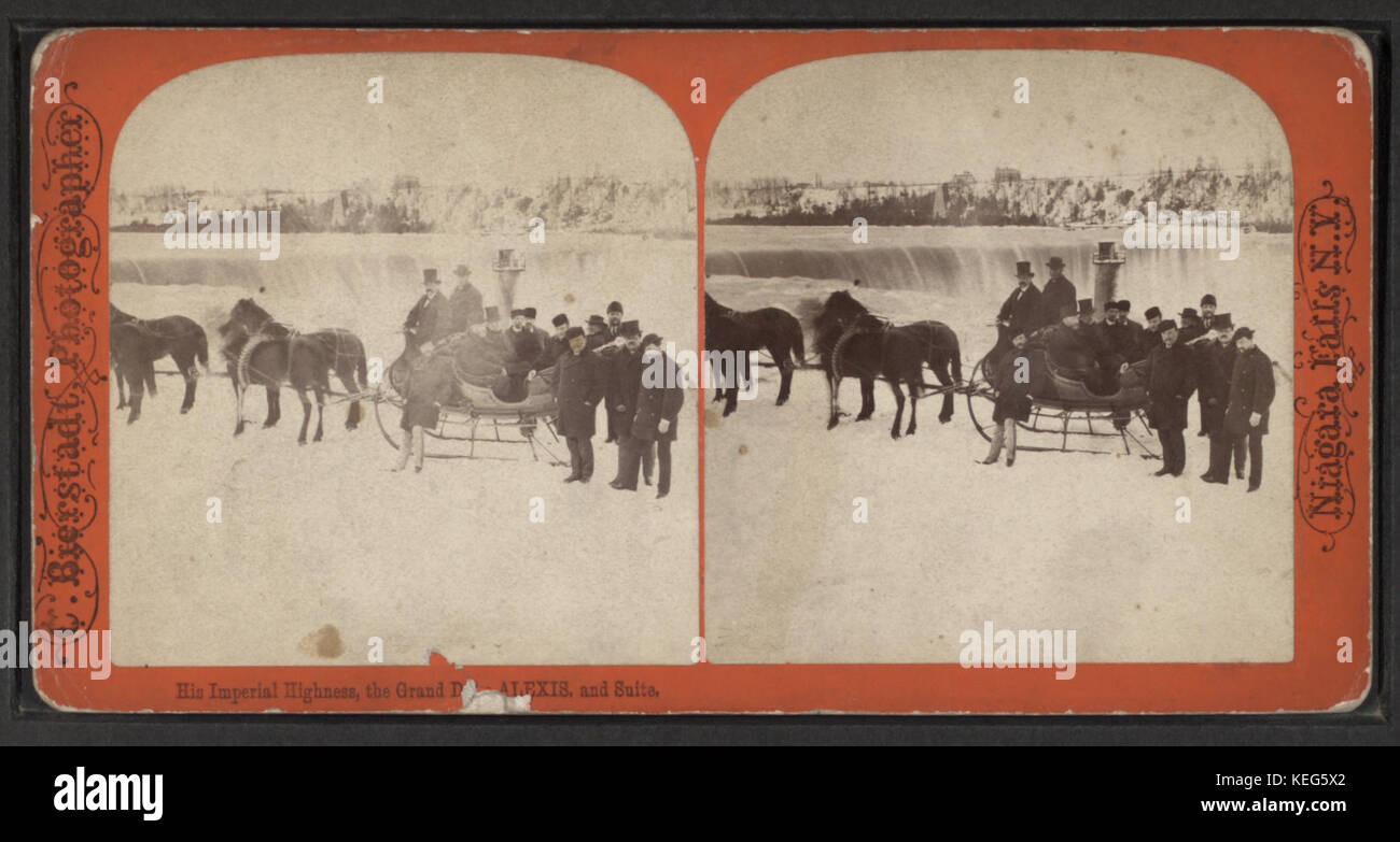 His Imperial Highness, the Grand Duke Alexis, and Suite, from Robert N ...