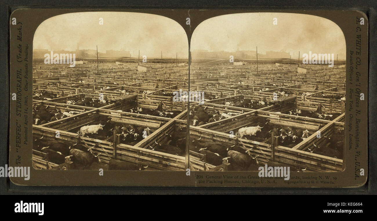 eneral view of the reat Union Stock Yards, looking north-west of the ...