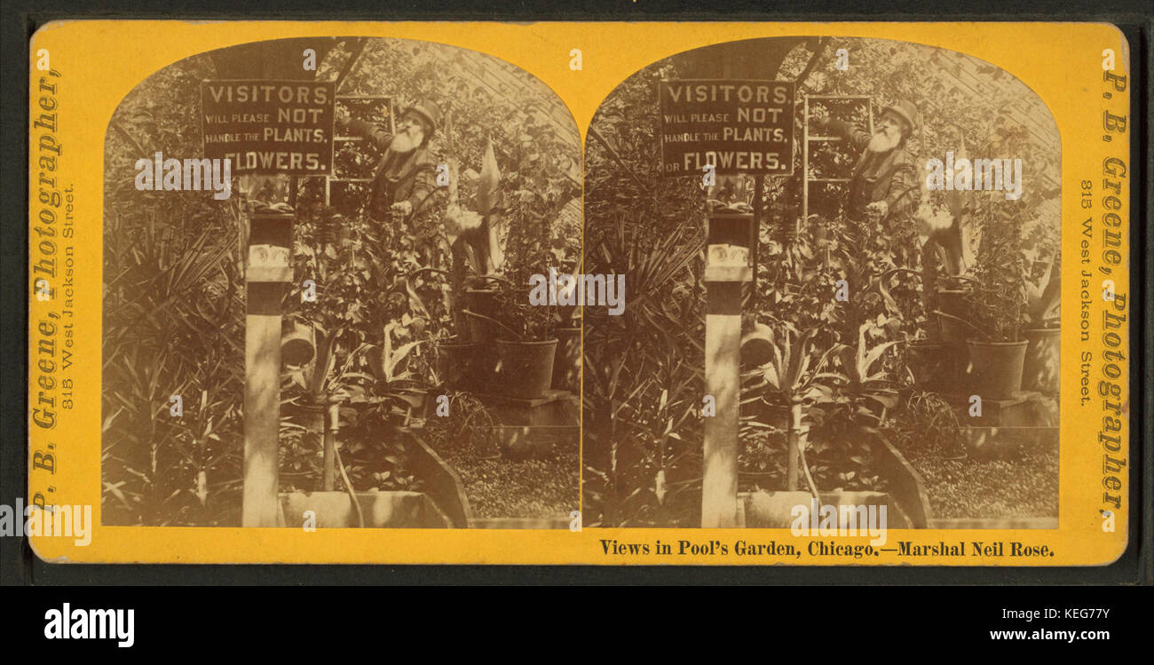 Marshal Neil Rose, by P. B. Greene Stock Photo - Alamy