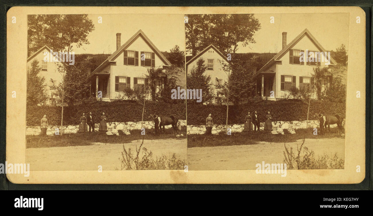 Mrs. Rufus Home, Franklin, N.H, from Robert N. Dennis collection of ...