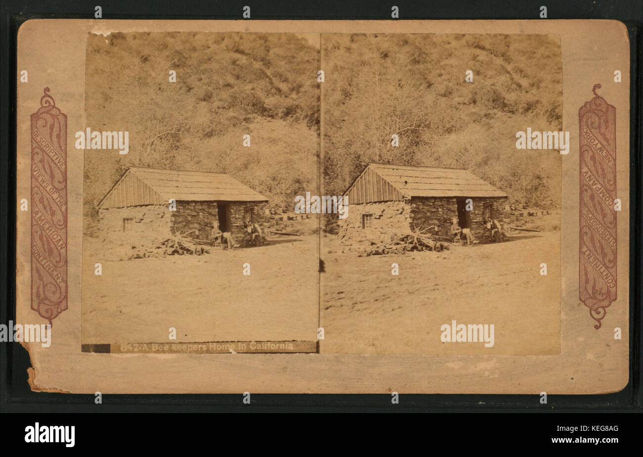 A bee keeper's home in California, from Robert N. Dennis collection of ...