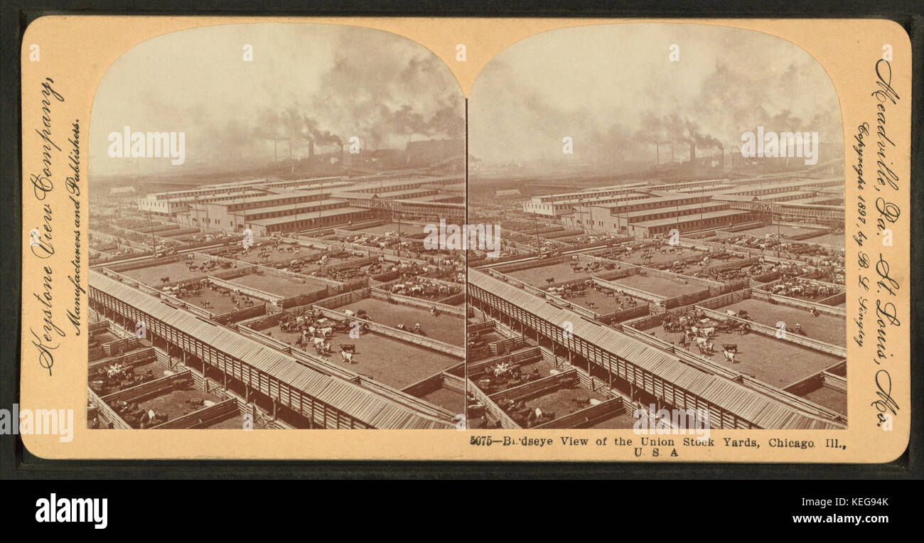 The Union Stock Yards in Chicago were once the largest livestock market ...