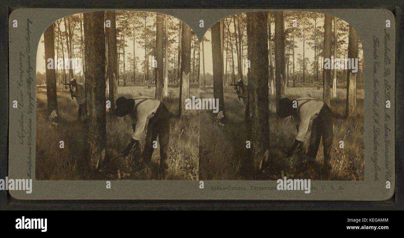 Turpentine Historic High Resolution Stock Photography and Images - Alamy