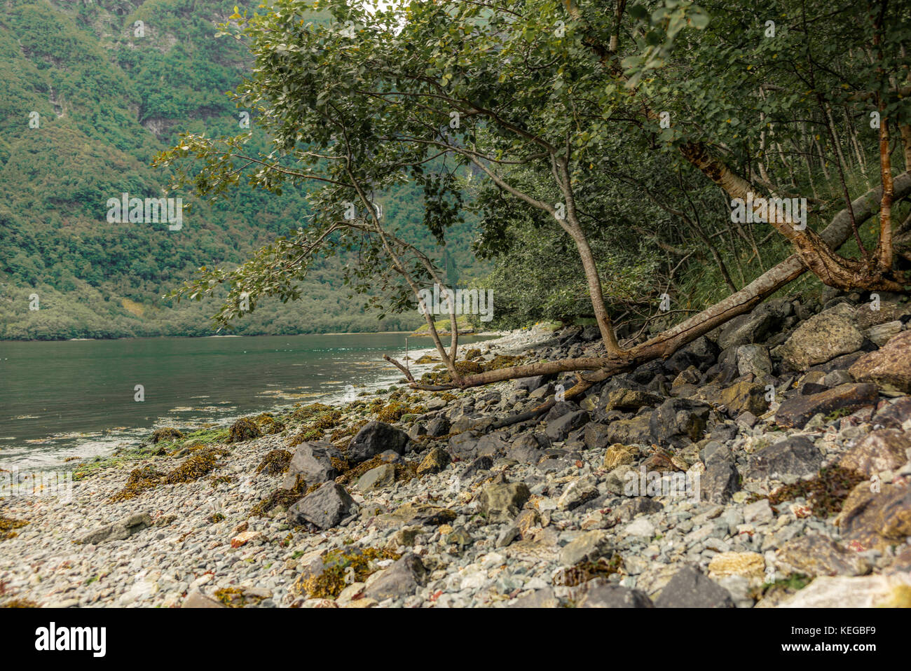 On the shores of the Naerofjord in Norway - 2 Stock Photo - Alamy