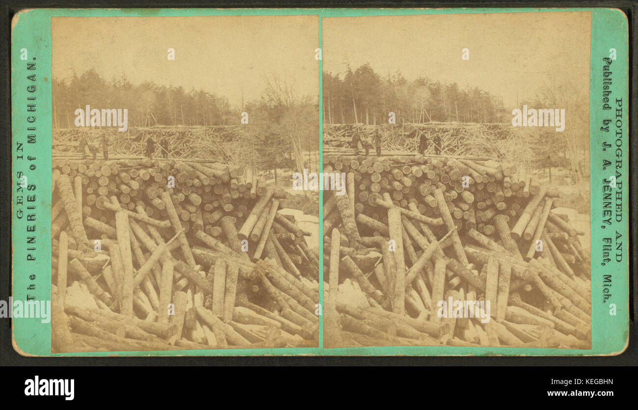 19th century logging hi-res stock photography and images - Alamy