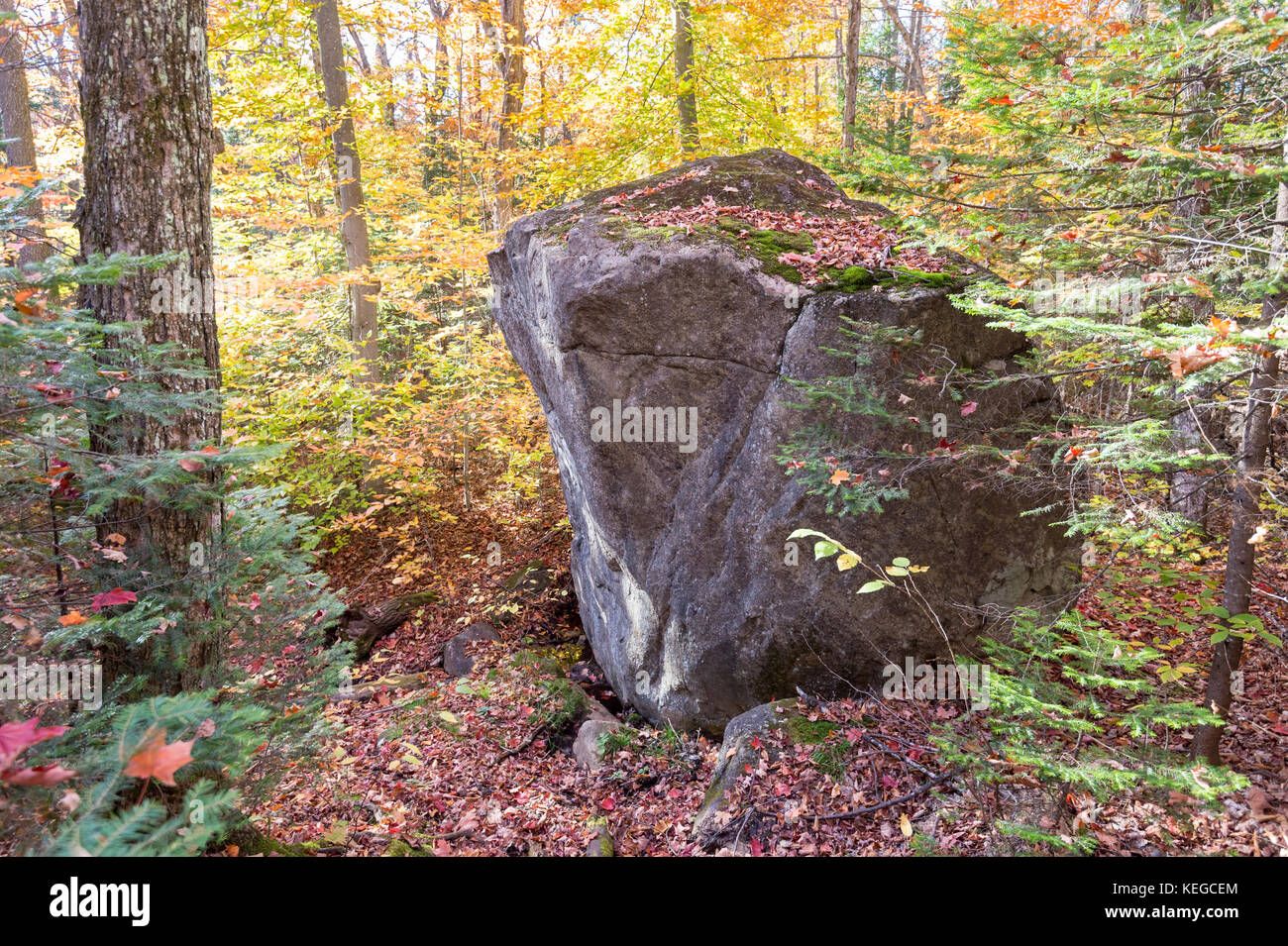 Glacial erratic rock in Val David Regional Park Stock Photo - Alamy