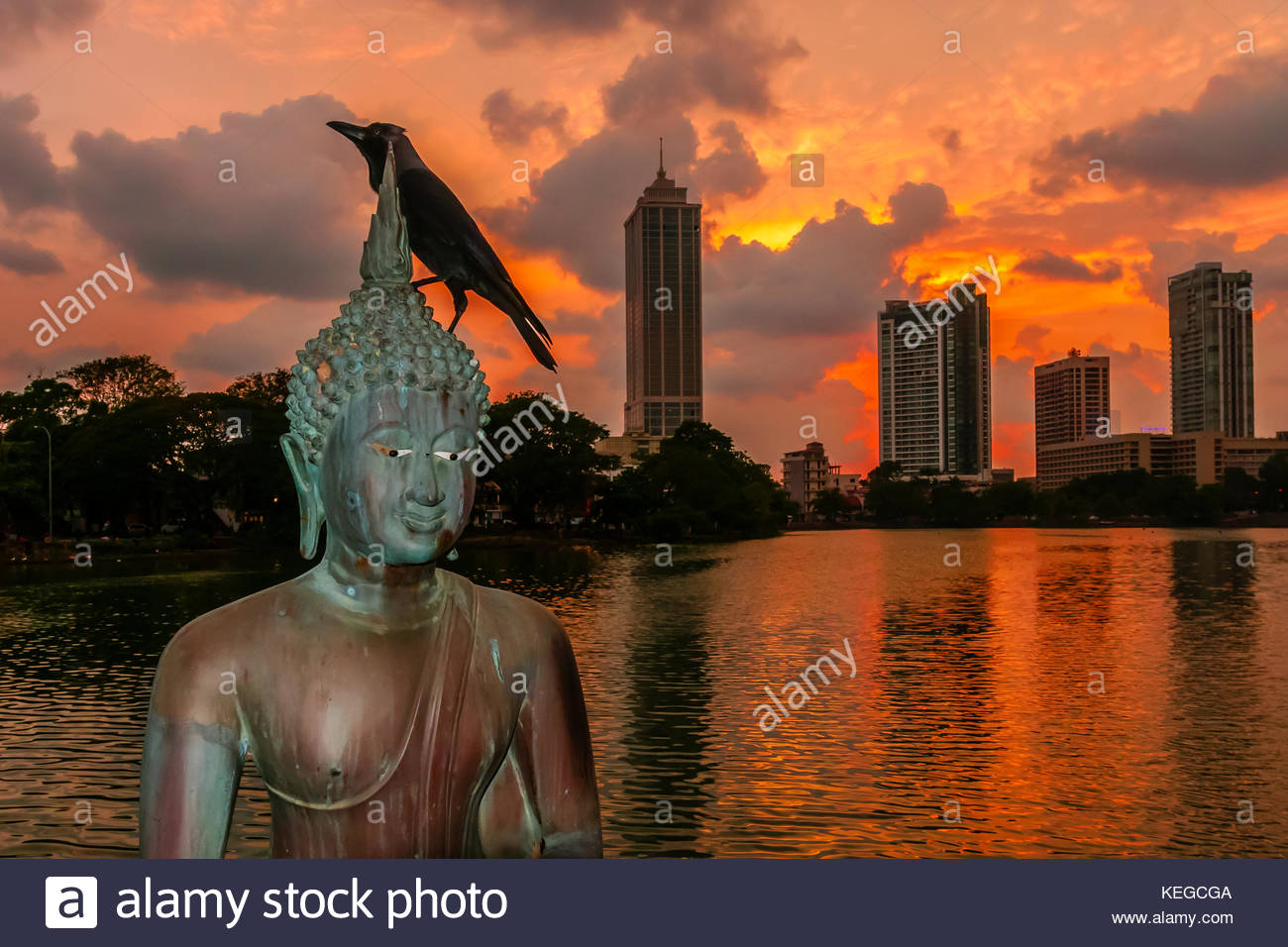 Sri Lanka Colombo Buddha Statue High Resolution Stock Photography and ...