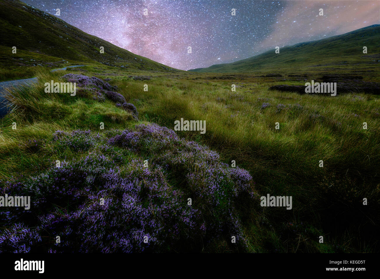 Mountains in Ireland exploring Milky Way and gorgeous heather plant ...