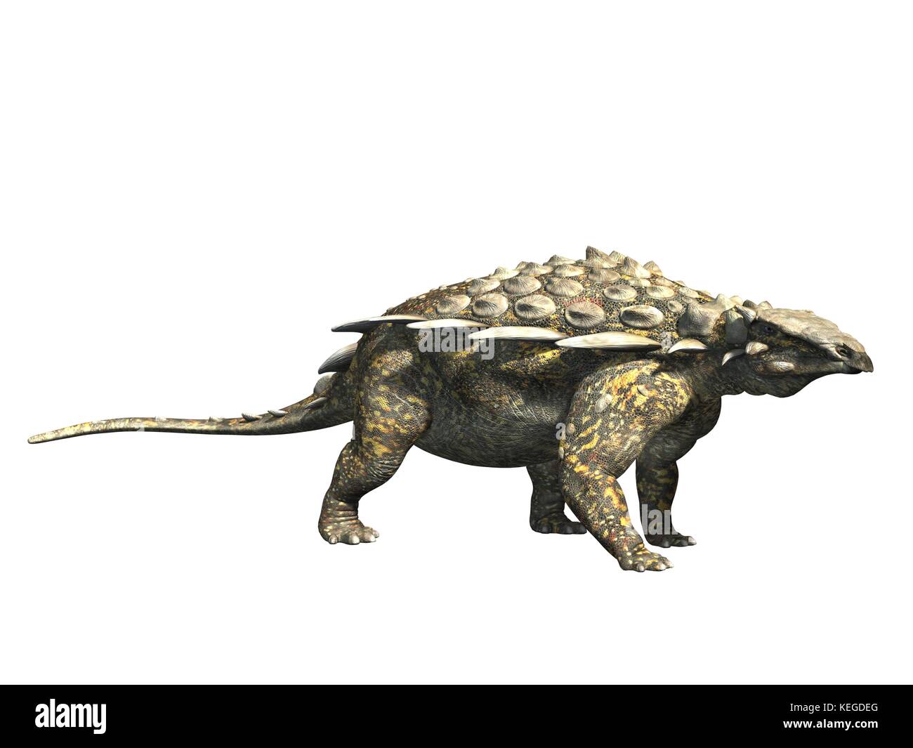 Gargoyleosaurus hi-res stock photography and images - Alamy