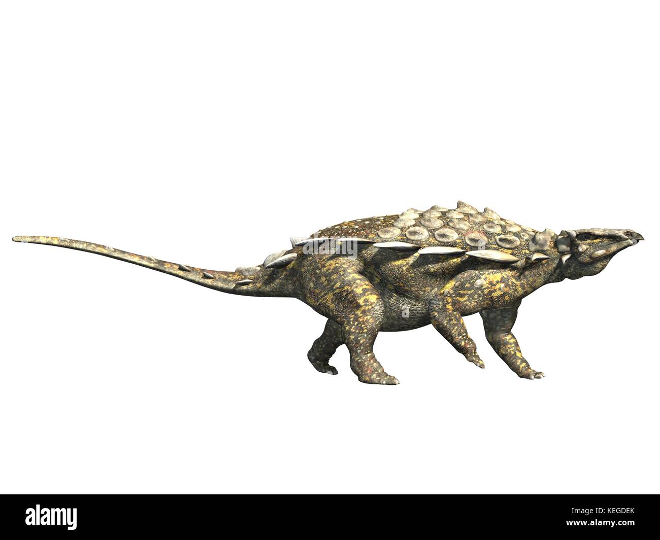 Gargoyleosaurus hi-res stock photography and images - Alamy