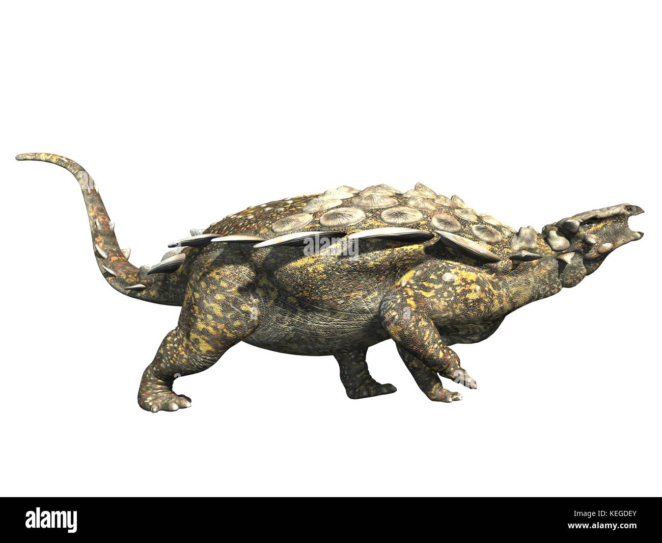 Gargoyleosaurus hi-res stock photography and images - Alamy