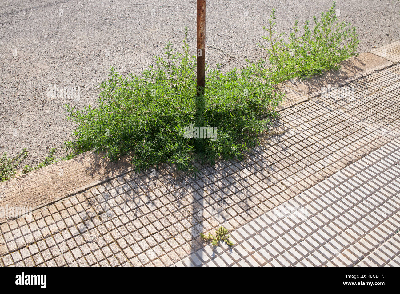 Abstract - detail of pole, grass and pavement Stock Photo - Alamy