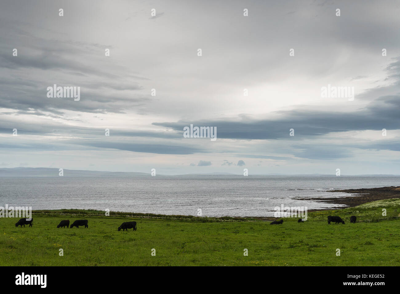rural landscapes in Caithness Stock Photo - Alamy