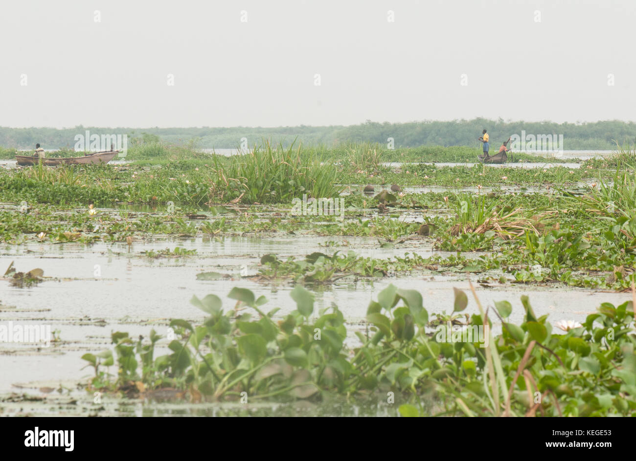 Villagers fishing from their canoe in Lake Albert, Uganda, Africa Stock ...