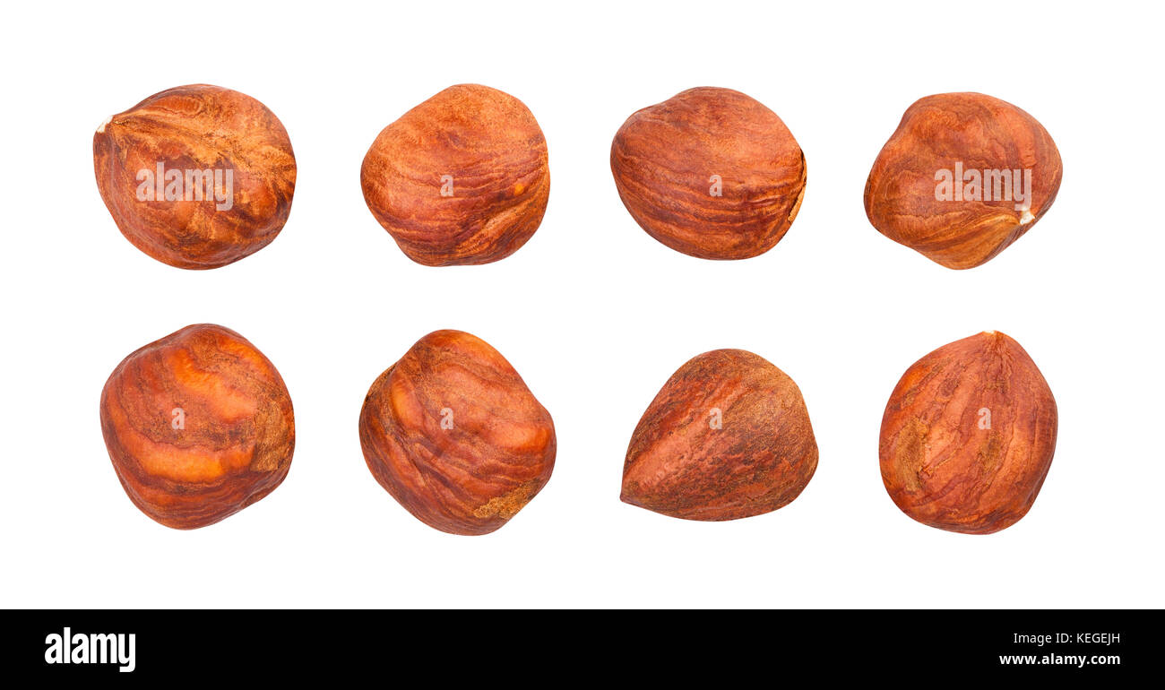 hazelnut path isolated Stock Photo - Alamy