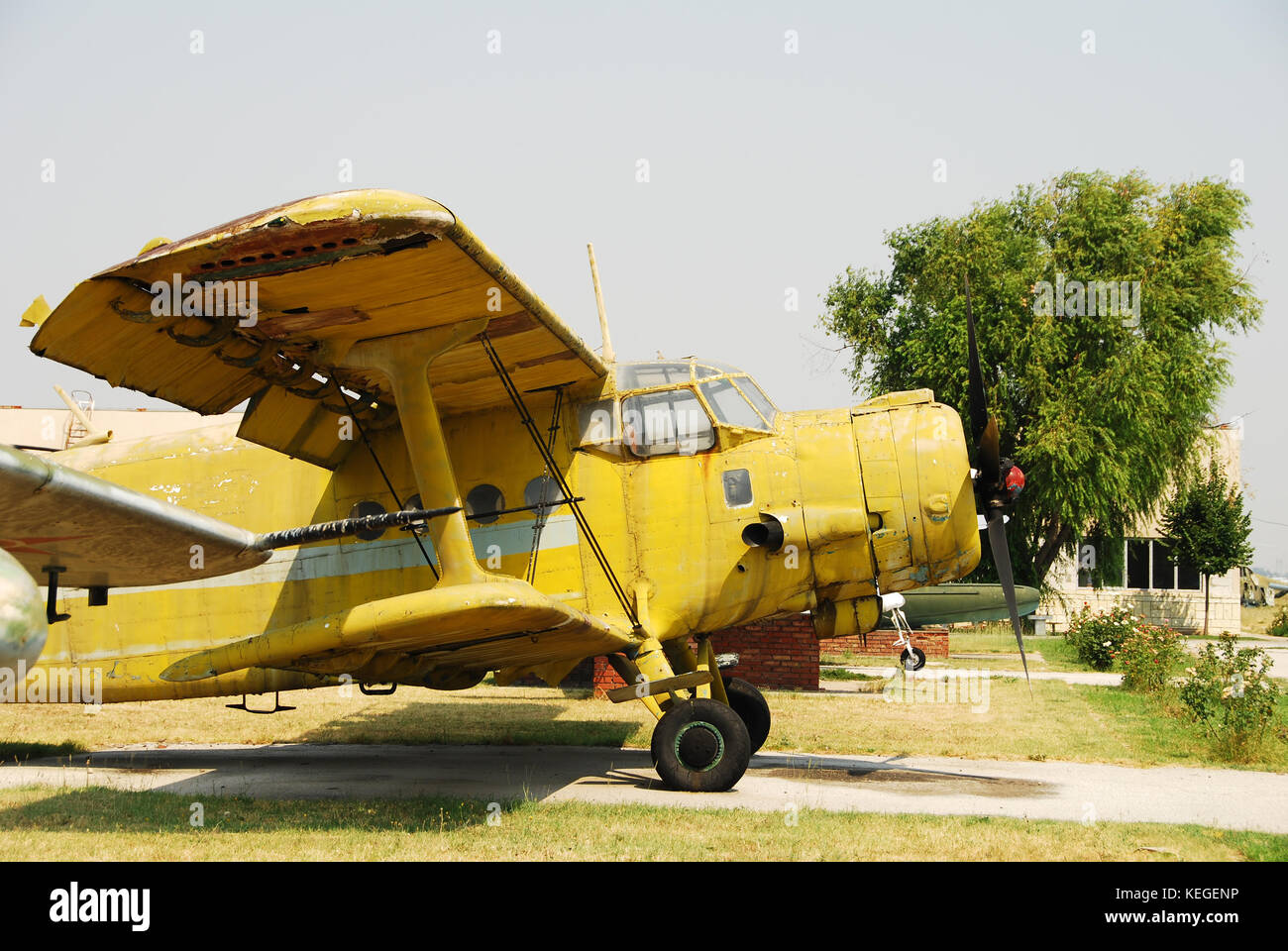 old biplane yellow color Stock Photo - Alamy