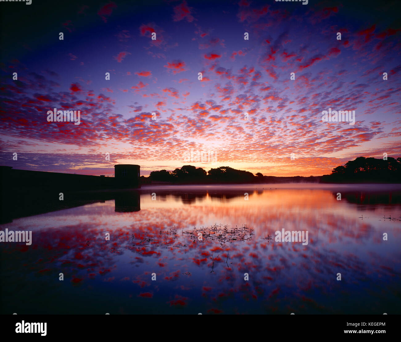 Channel Islands. Guernsey. St. Saviour. Reservoir at dawn Stock Photo ...