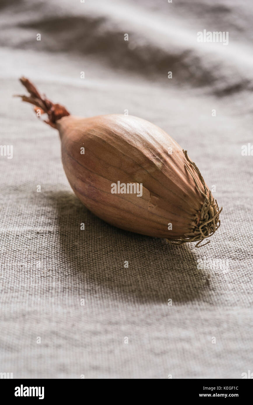 Echalion hi-res stock photography and images - Alamy