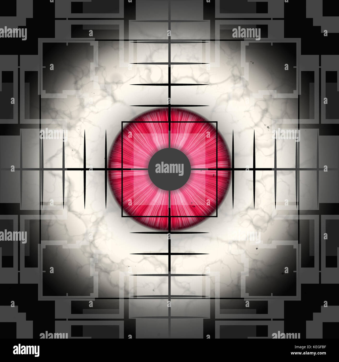 Stare eye ball sight hi-res stock photography and images - Alamy