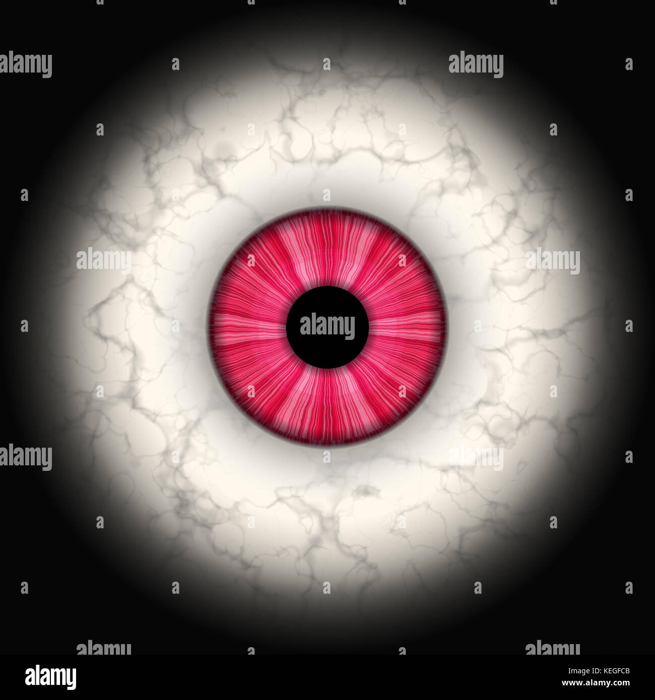 Stare eye ball sight hi-res stock photography and images - Alamy