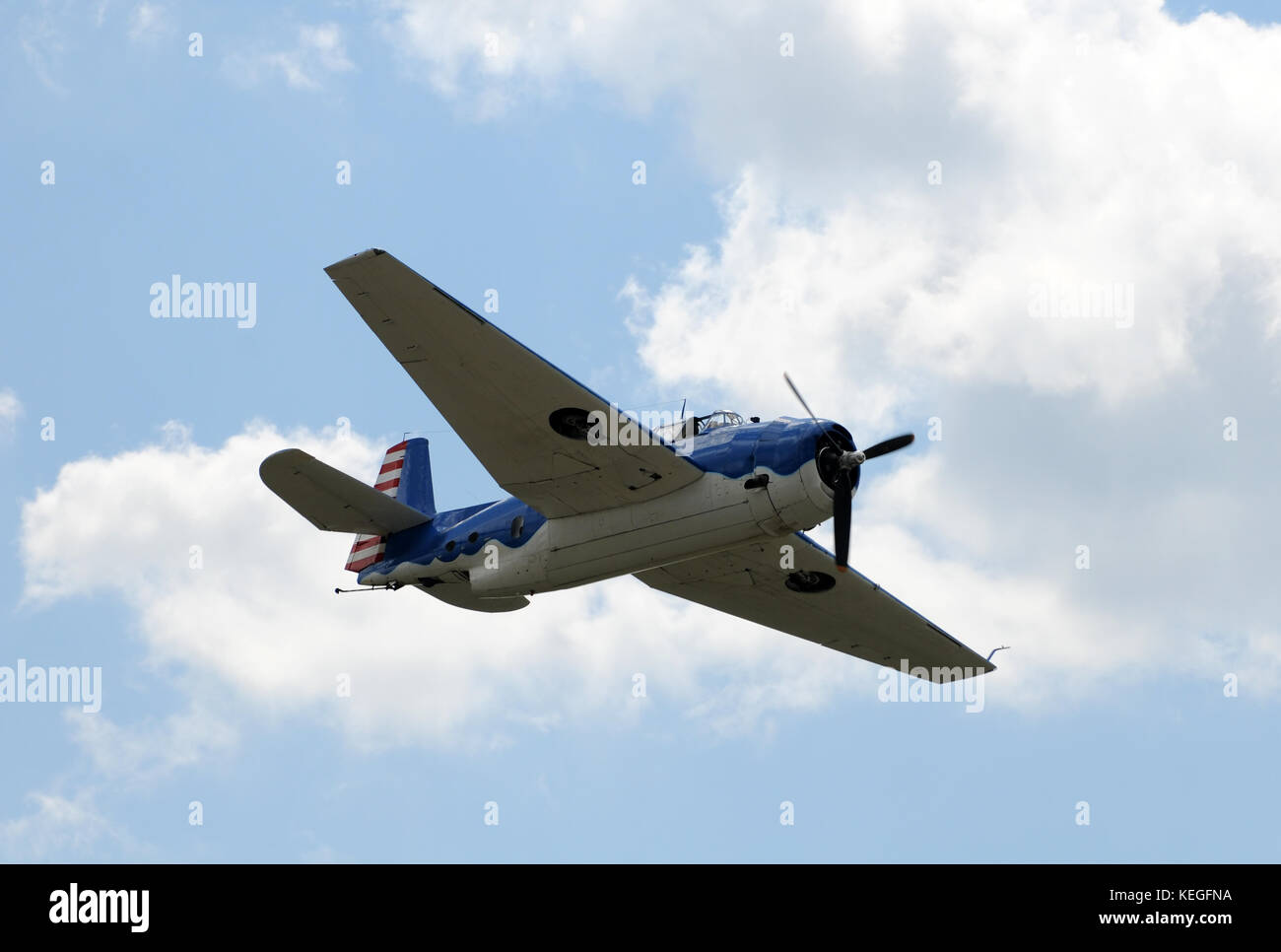 World War II era American Avenger fighter Stock Photo - Alamy